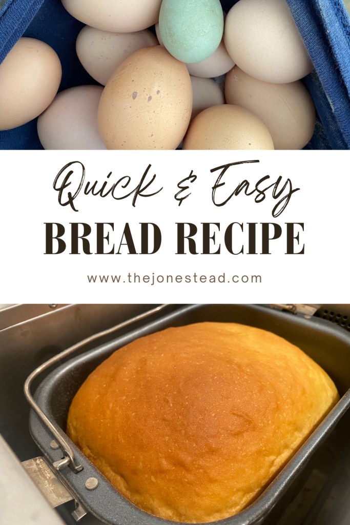 Homestead Daily Bread - The Jonestead