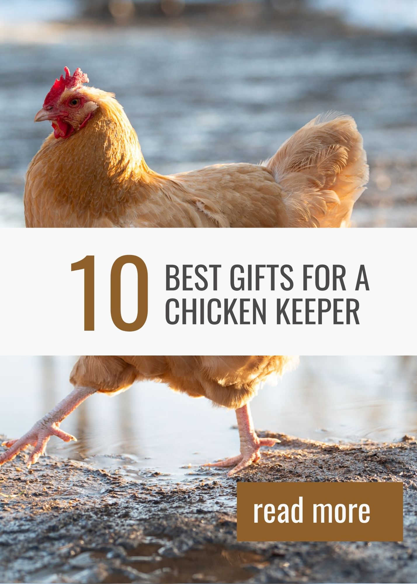 10 Best Gifts For Chicken Keepers - The Jonestead