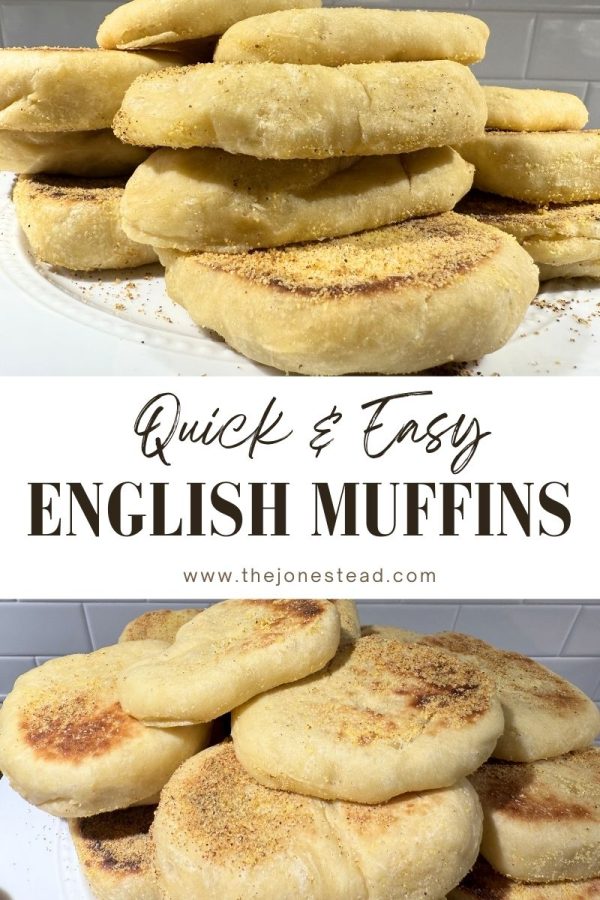 English Muffins - The Jonestead